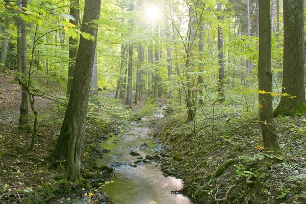 Real nature wallpapers Stock Photos, Royalty Free Real nature ...