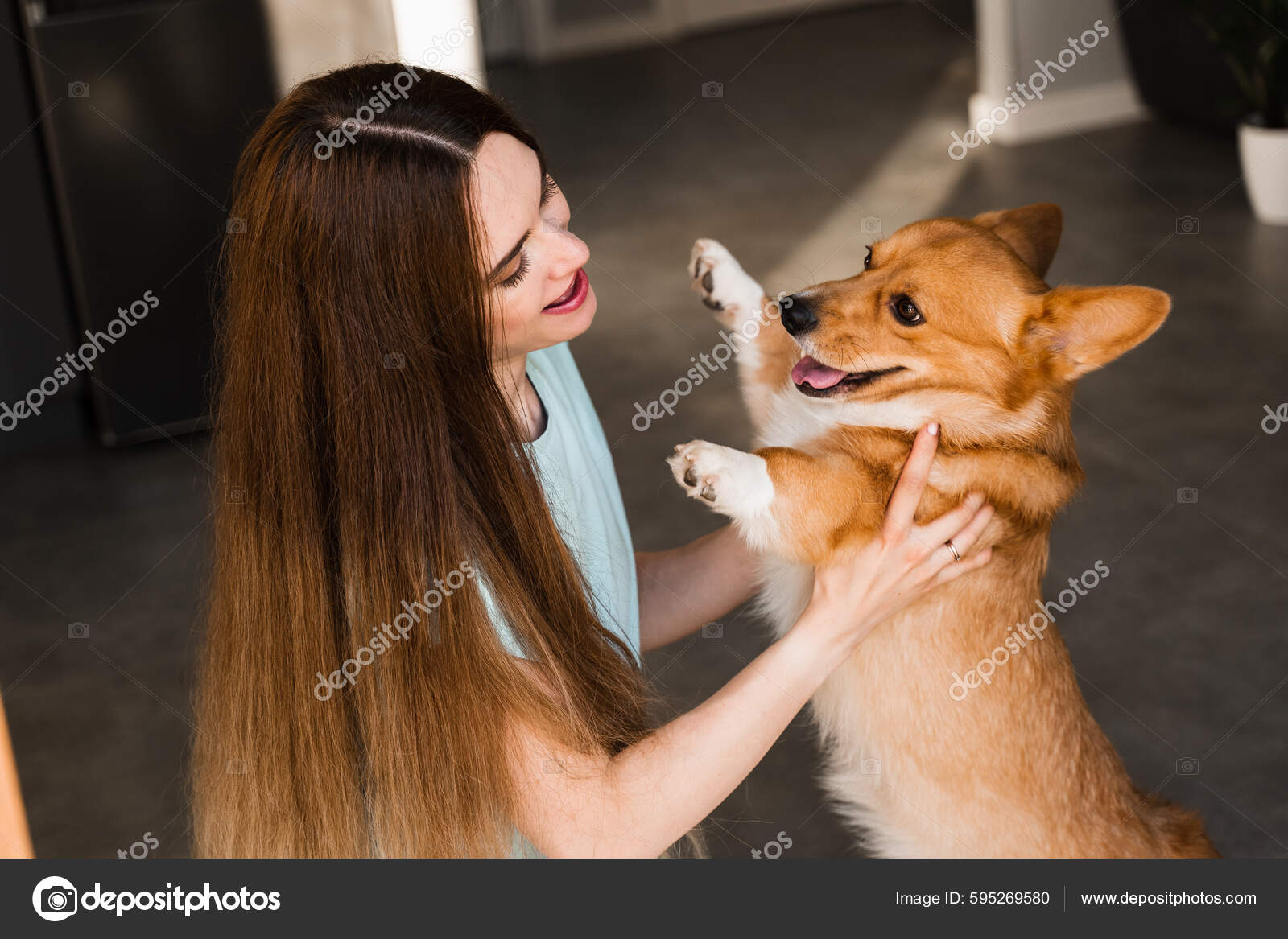 Girl Play Corgi Dog Home Having Fun Playful Welsh Corgi — Stock Photo ...