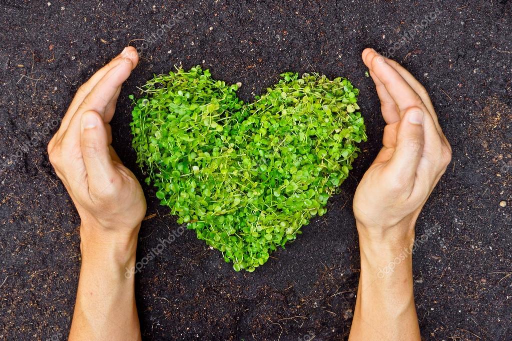 Hands holding green heart shaped tree — Stock Photo © weerapat #39530109