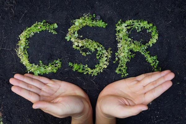 Corporate responsibility Stock Photos, Royalty Free Corporate ...