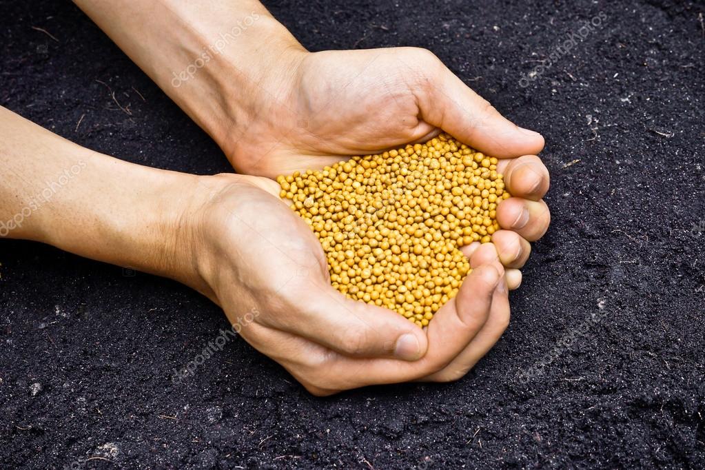 Manos sosteniendo fertilizante químico como una forma de corazón sobre ...