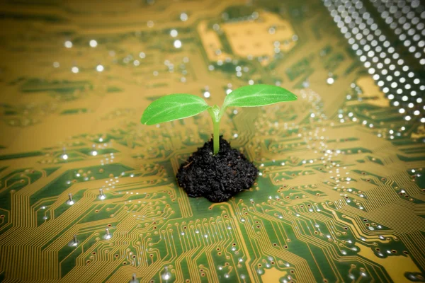 Green computing Stock Photo by ©weerapat 43546085