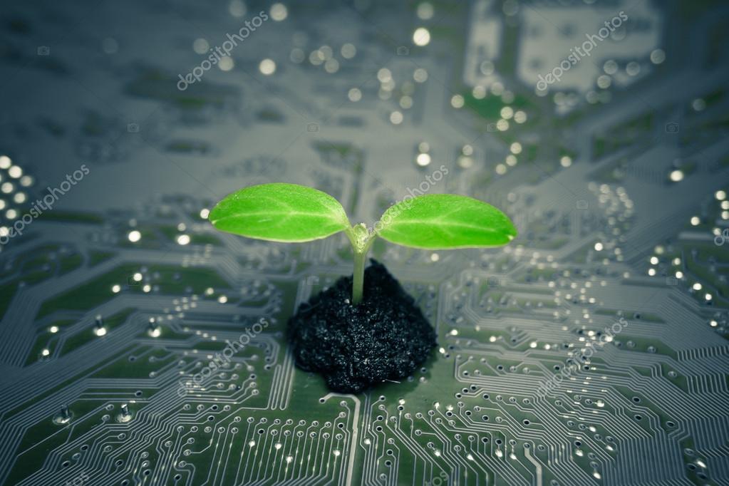 Green computing Stock Photo by ©weerapat 43546307