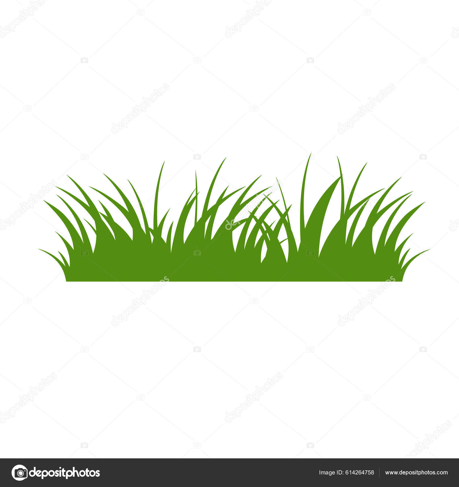 Rumput Hijau Terisolasi Latar Belakang Putih Bunga Vektor Stok oleh ...