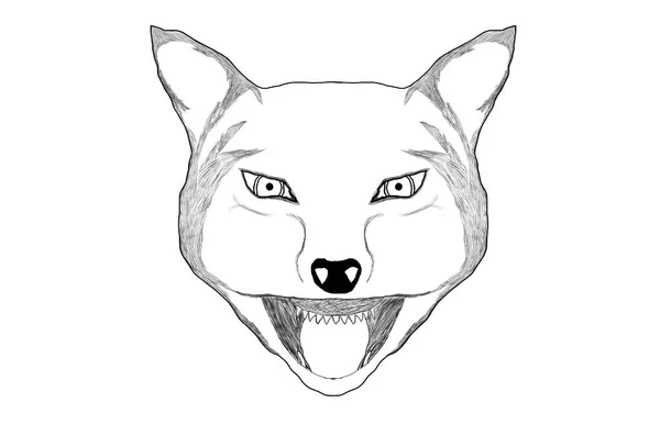 Face fox drawing Stock Photos, Royalty Free Face fox drawing Images ...