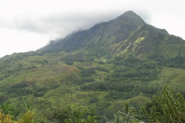 Fiji mountain Stock Photos, Royalty Free Fiji mountain Images ...