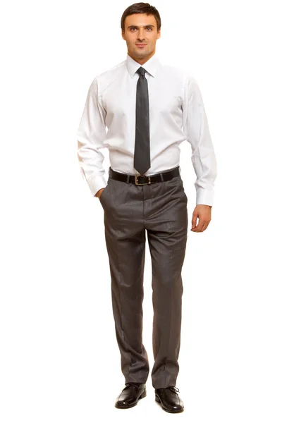 Well-dressed man in suit and tie. Charismatic businessman standing on ...