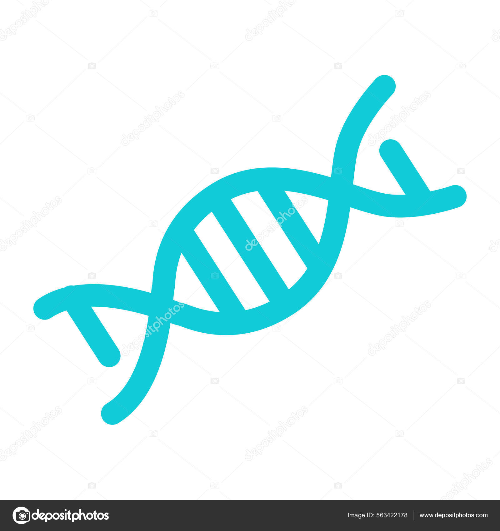 Dna Ladder Structure Semi Flat Color Vector Object Full Sized Stock ...