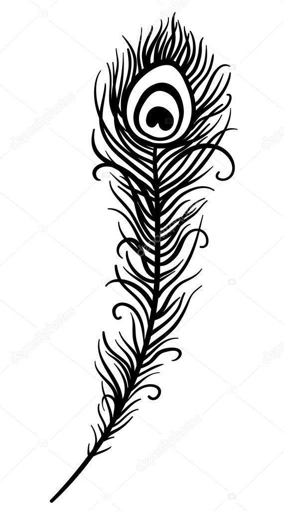 Beautiful Peacock Feather Stock Vector Image By ©vgorbash 37521881