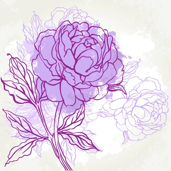 Beautiful peony bouquet design Stock Vector Image by ©vgorbash #37587031