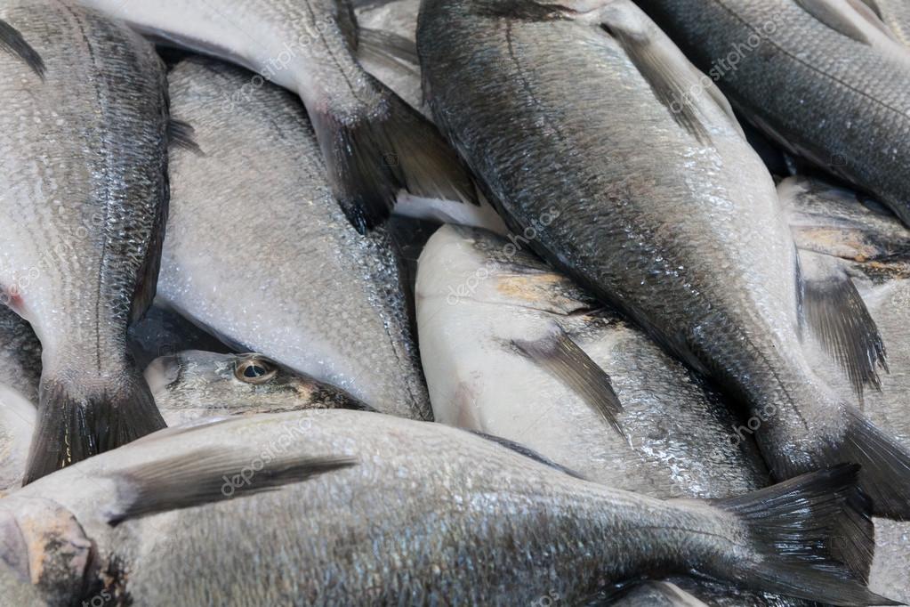 Fish on sale in Madeira market Stock Photo by ©phil_bird 49644333