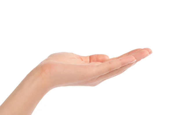 Open woman hand Stock Photo by ©rozelt 21143959