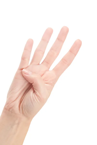 Open hand Stock Photo by ©natulrich 1288208