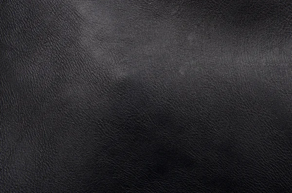 Textura de cuero 2024