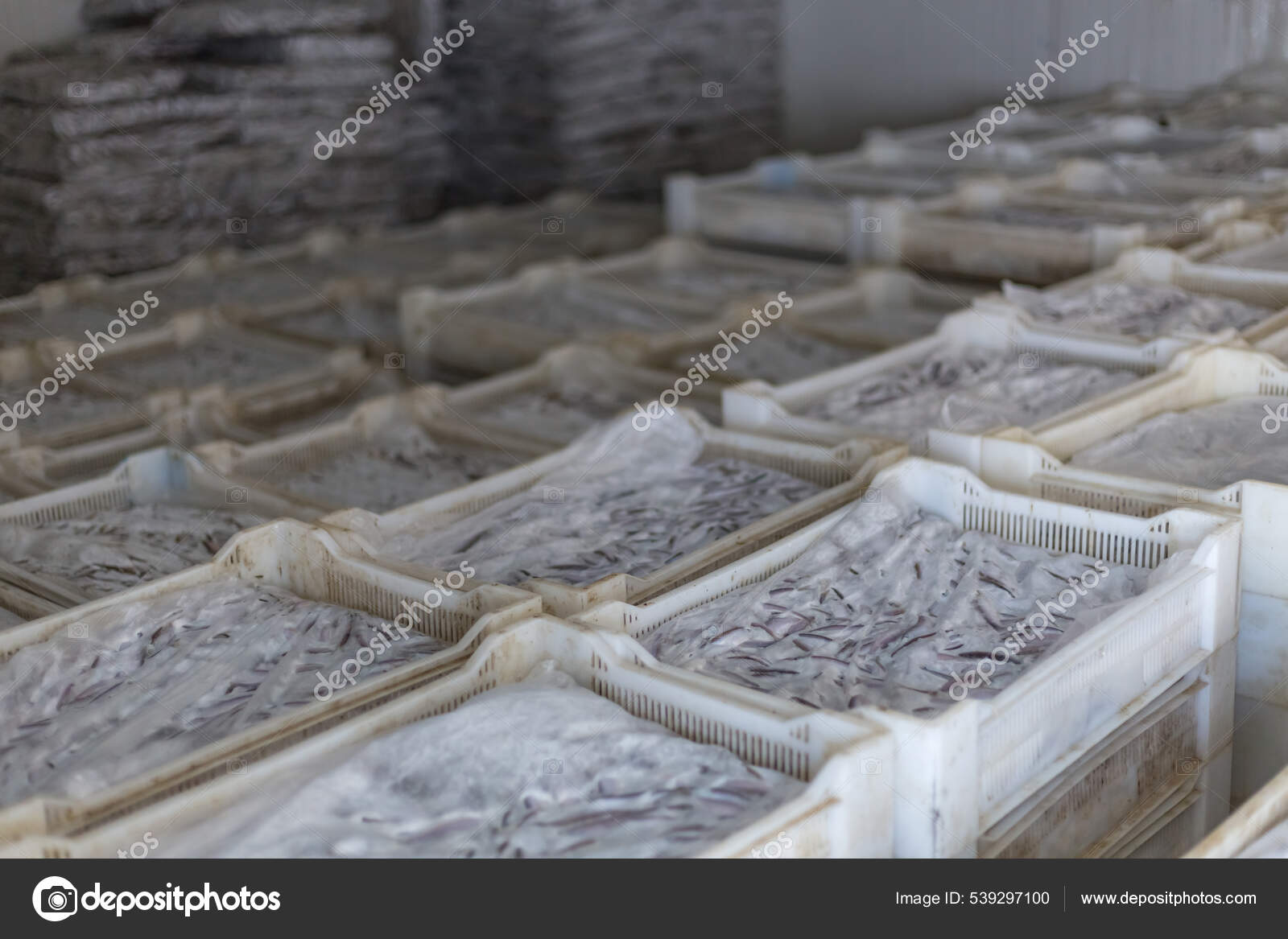 Frozen Fish Packed Boxes Stored Refrigerator Selective Focusing — Stock ...