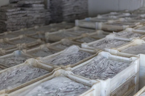 Coffins Stock Photos, Royalty Free Coffins Images | Depositphotos