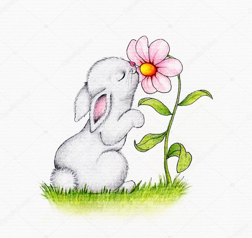 Cute bunny smelling a flower Stock Illustration by ©Tchumak #38181589