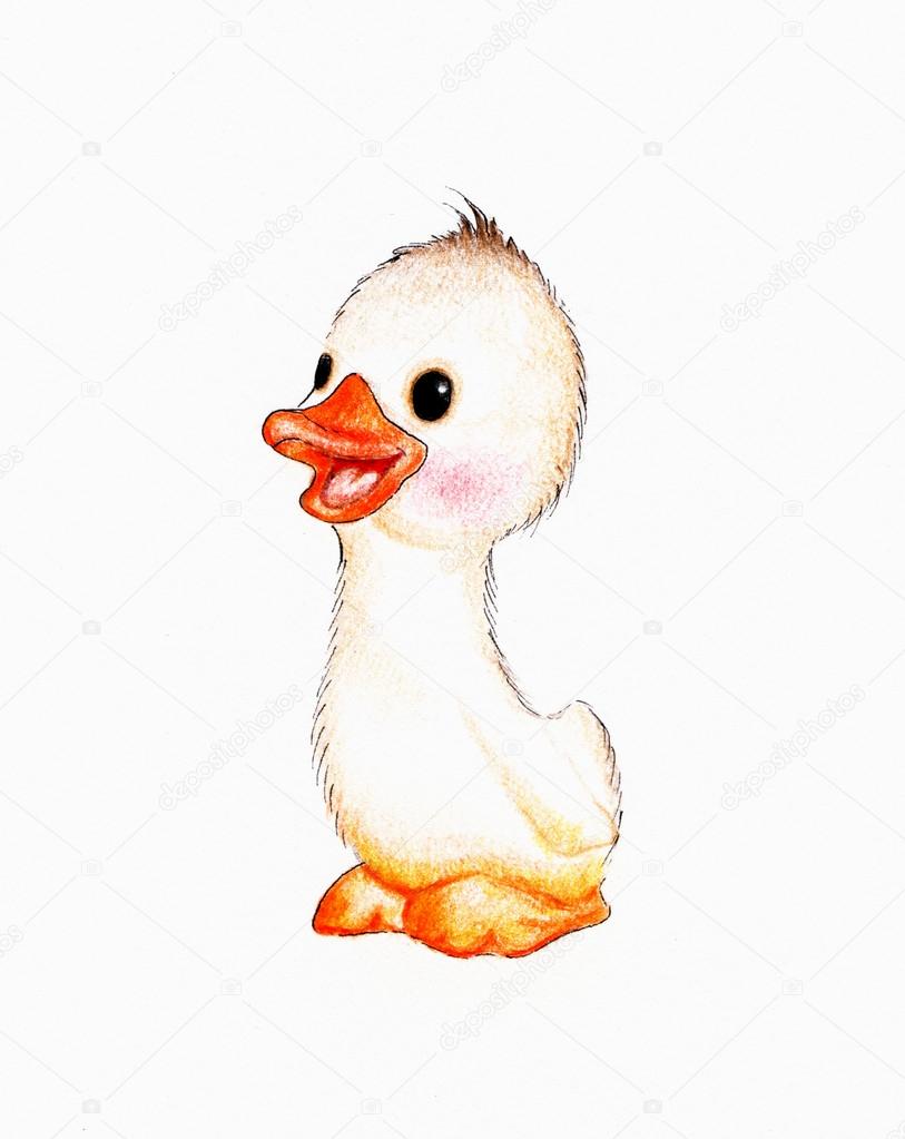 Baby Duckling Drawing