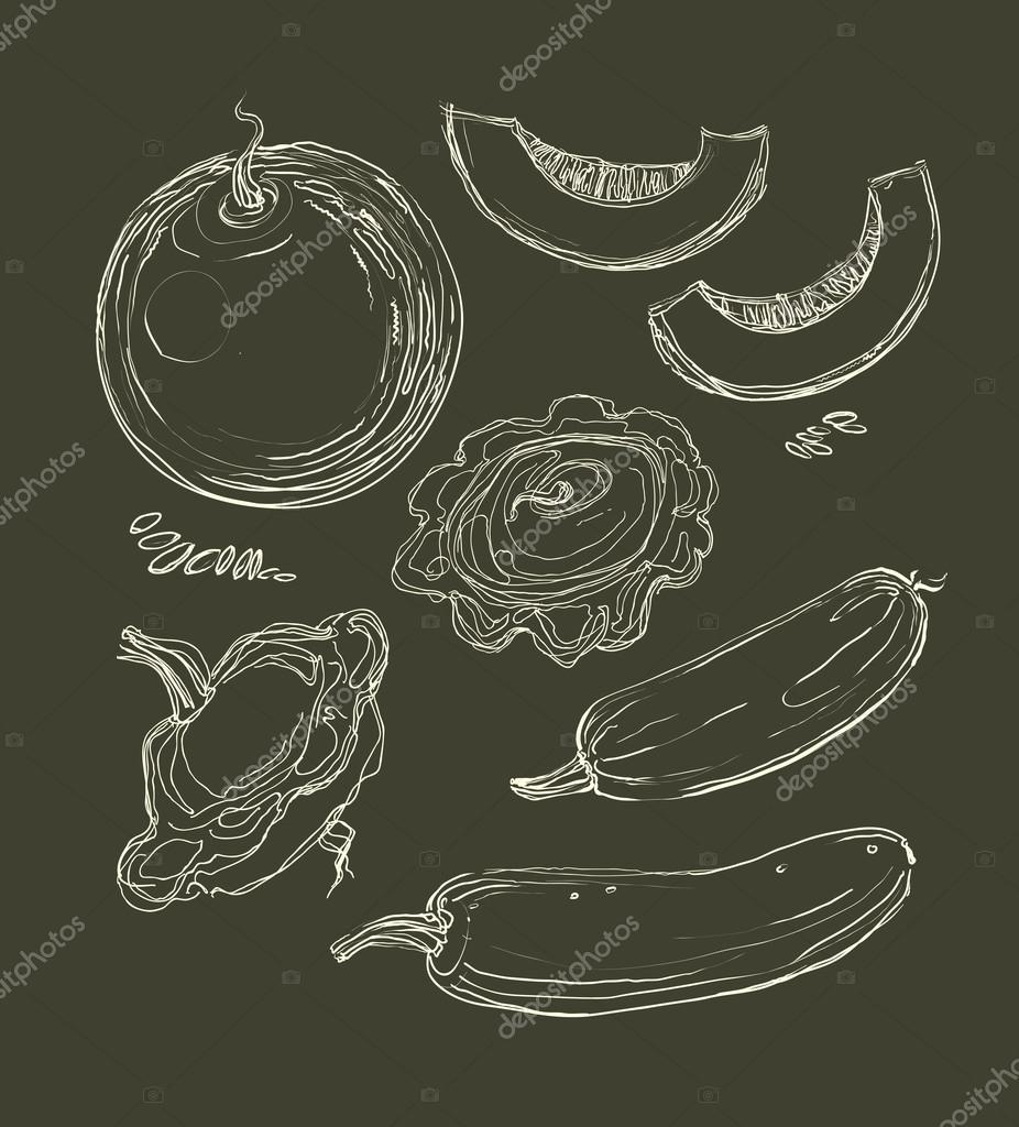 Vector hand drawing set of melons Stock Vector by ©FarbaKolerova 51083733