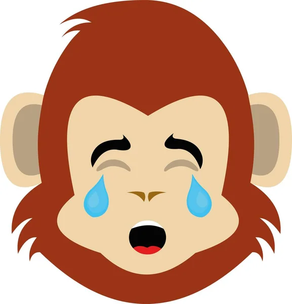 Crying Monkey