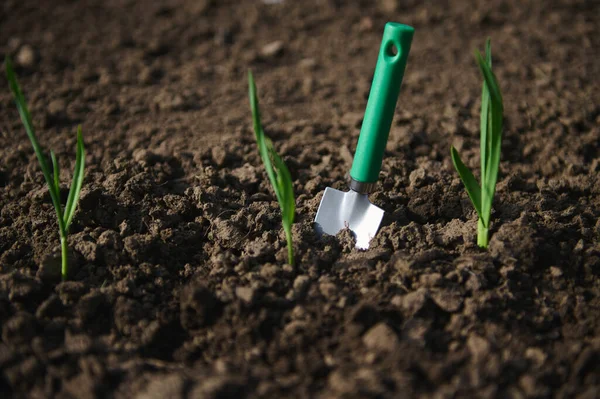 Soil sensor Stock Photos, Royalty Free Soil sensor Images | Depositphotos