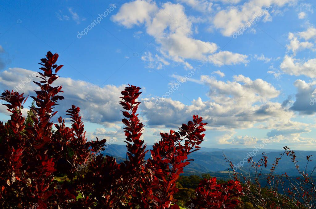 Una vista al valle en Medlow Bath en las Montañas Azules de Australia 2024