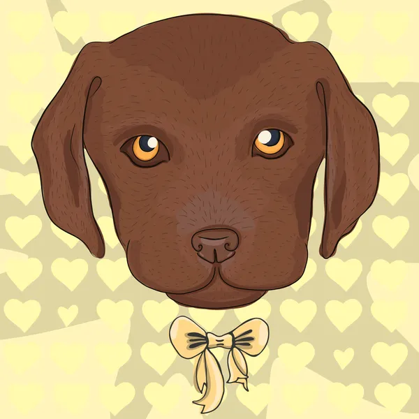 Chocolate labrador Vector Art Stock Images | Depositphotos