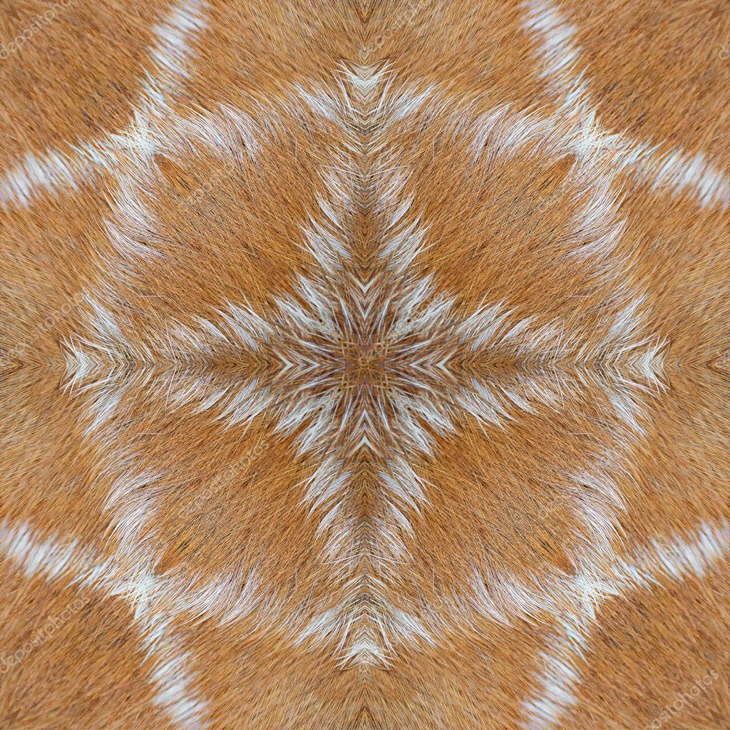 Deer skin Stock Photo by ©panuruangjan 47451193