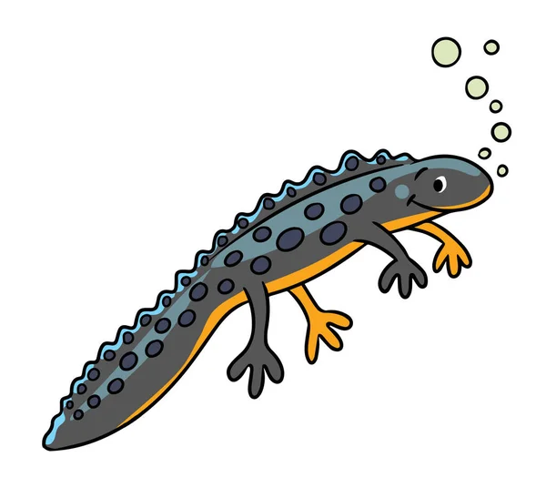 Newt Clipart