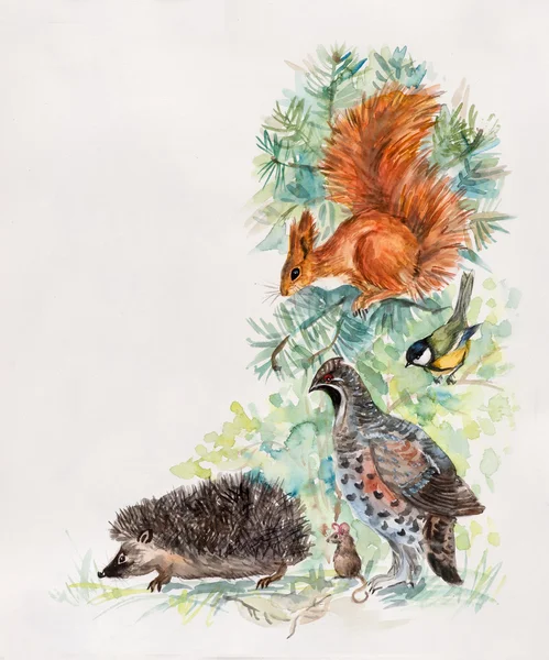 Zoo frame Stock Photos, Royalty Free Zoo frame Images | Depositphotos