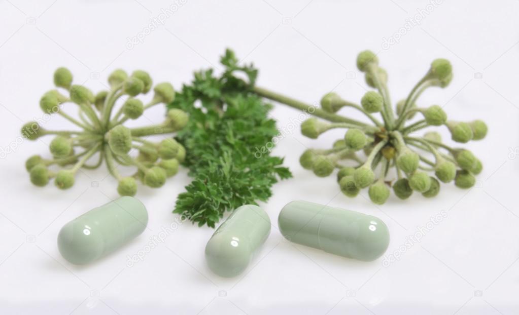 Drogas y medicamentos con extractos naturales de plantas 2022