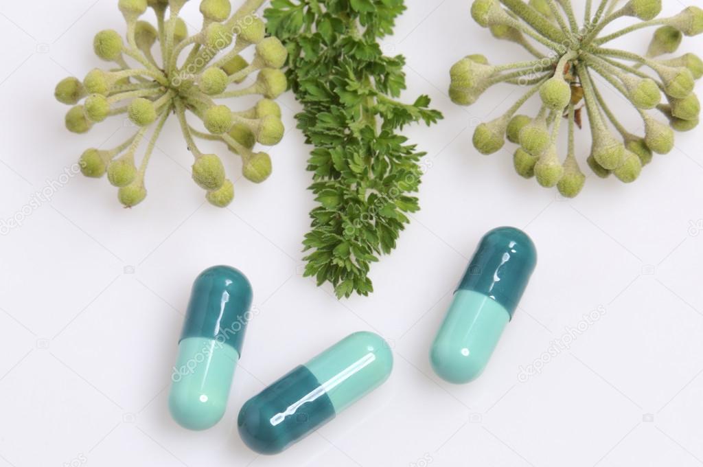 Drogas y medicamentos con extractos naturales de plantas 2022