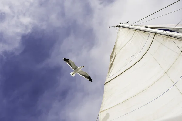 Sailing wings Stock Photos, Royalty Free Sailing wings Images ...