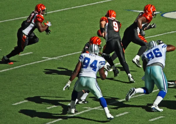 Cincinnati bengals Stock Photos, Royalty Free Cincinnati bengals Images ...