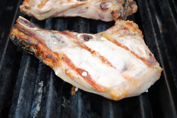 ᐈ Grills stock pictures, Royalty Free barbecue grills pics | download ...