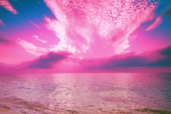 Sea rose Stock Photos, Royalty Free Sea rose Images | Depositphotos®