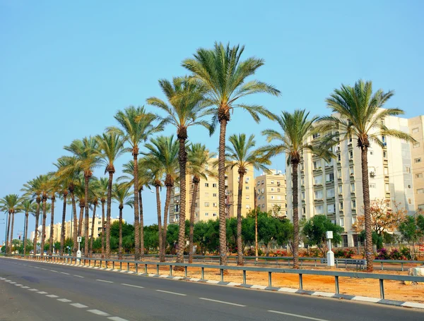 Netanya Stock Photos, Royalty Free Netanya Images | Depositphotos