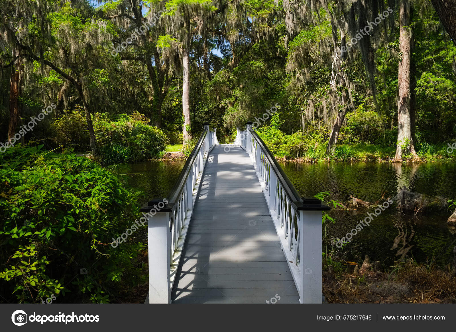 Beautiful White Pedestrian Bridge River Popular Southern Town ...