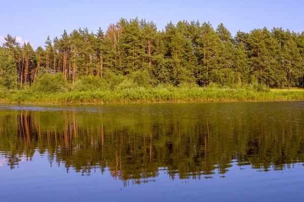 Lago de belarus Stock Photos, Royalty Free Lago de belarus Images ...