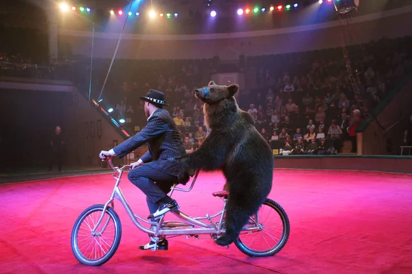 러시아 서커스 fotos de stock, imágenes de 러시아 서커스 sin royalties | Depositphotos