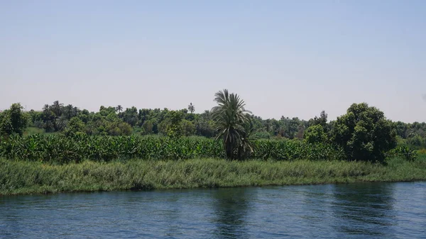 River nile river Stock Photos, Royalty Free River nile river Images ...