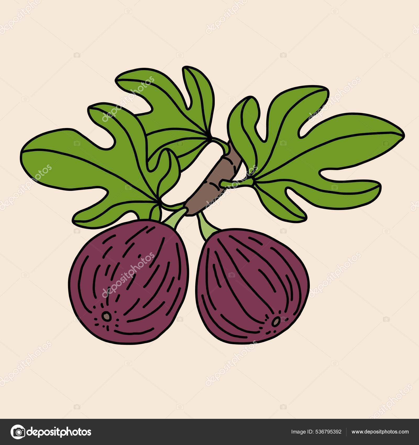 Desenho De Figo Figo 3d Cortado Em Sementes Meio Detalhadas E Textura