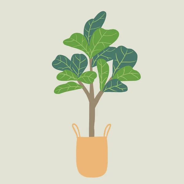 Doodle Freehand Sketch Drawing Fiddle Leaf Fig Tree Collection Stock ...