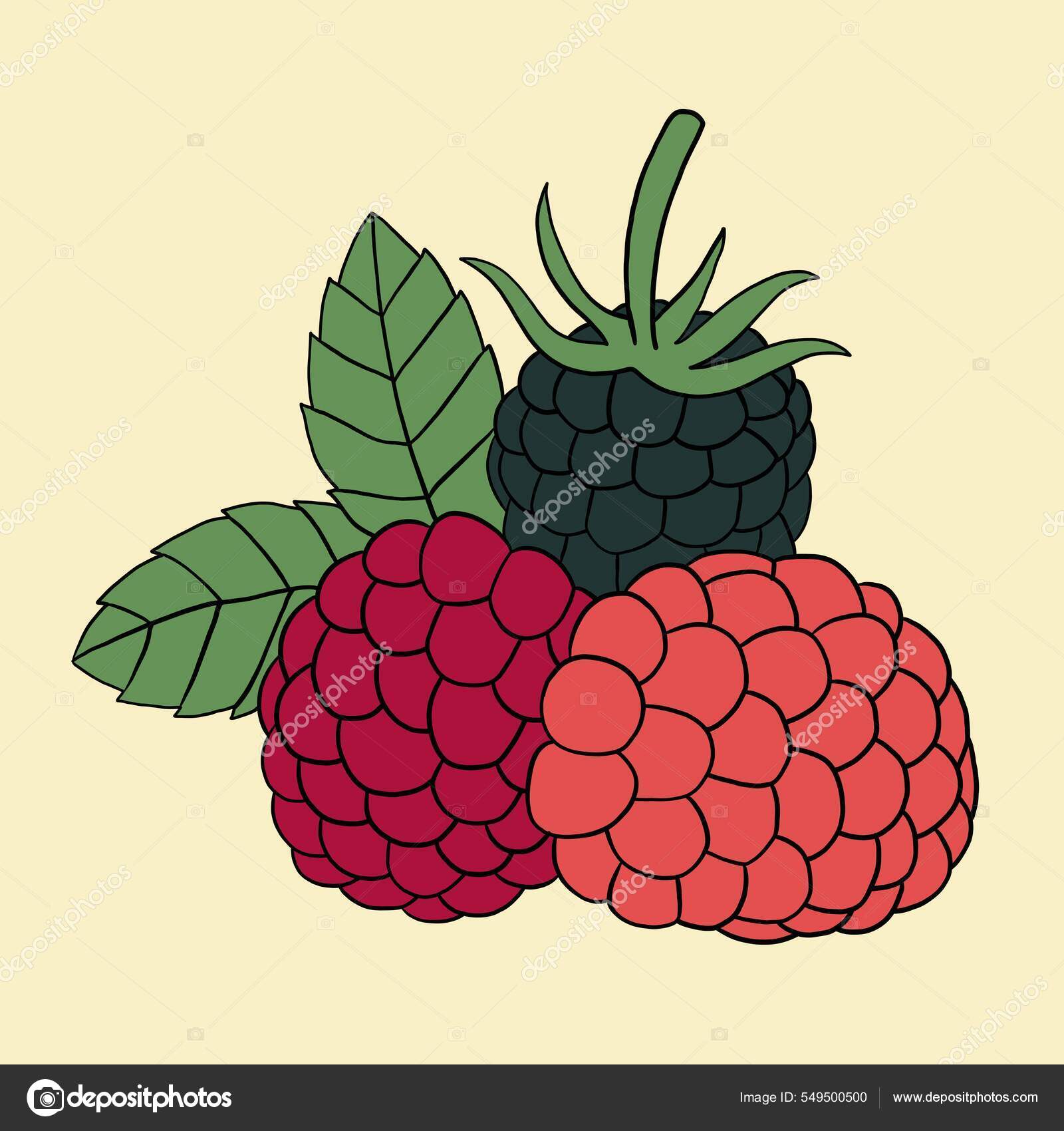 Doodle Freehand Outline Sketch Drawing Raspberry Fruit Stock Vector ...
