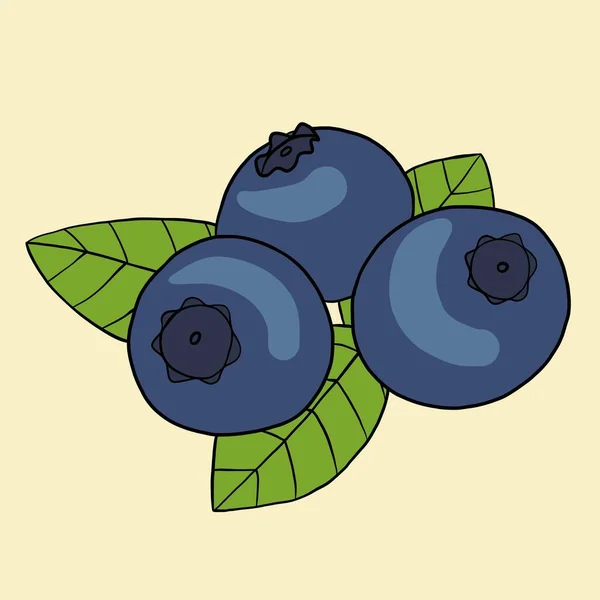 Doodle Freehand Outline Sketch Drawing Raspberry Fruit Stock Vector ...