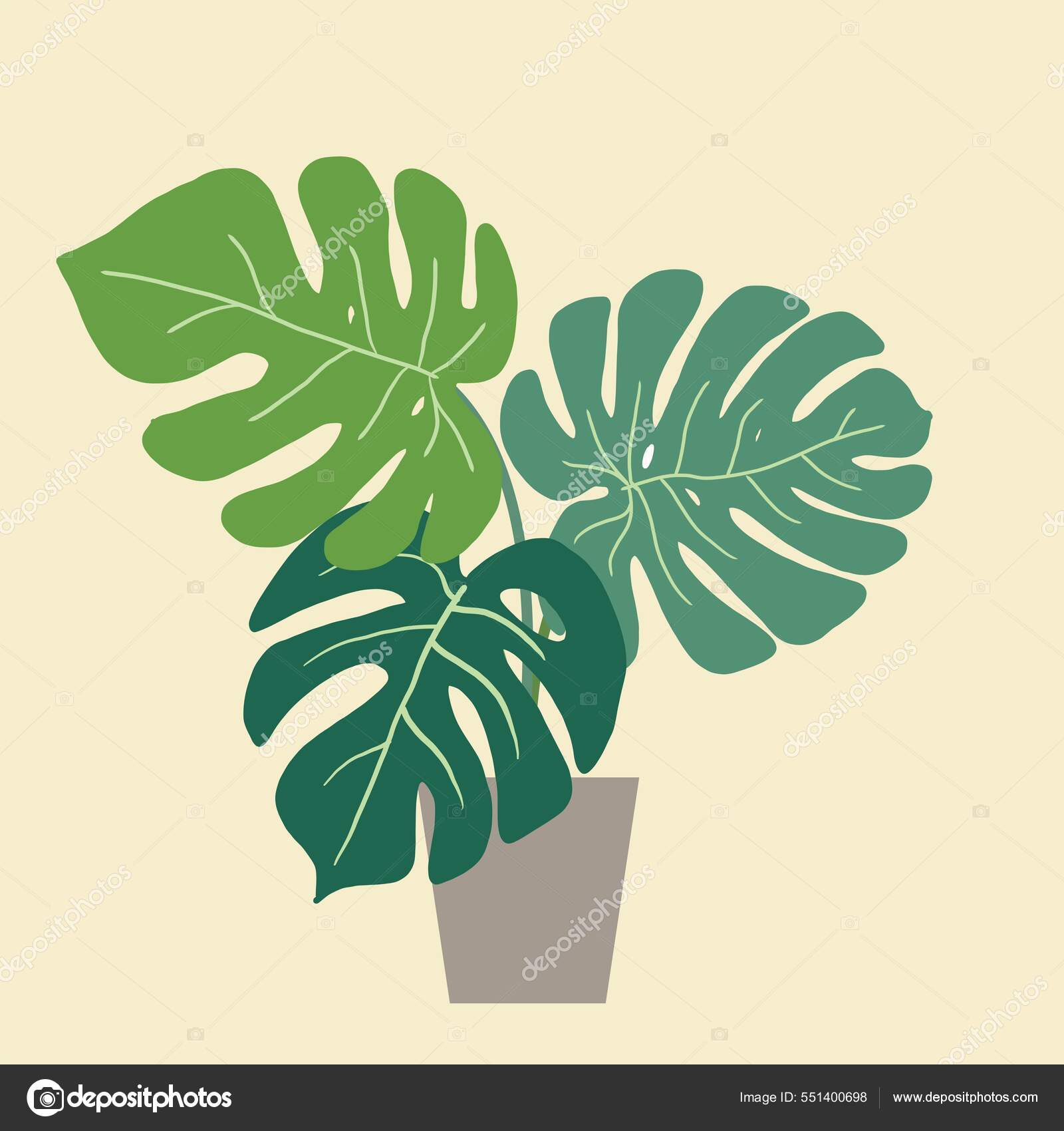 Monstera Deliciosa Drawing
