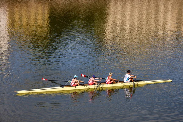 Fotos de Remadores equipe, Imagens de Remadores equipe sem royalties ...