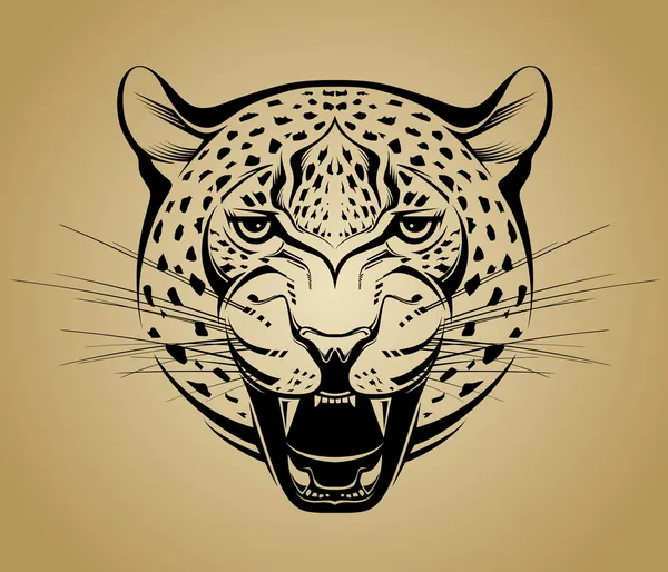 Angry Leopard Drawing