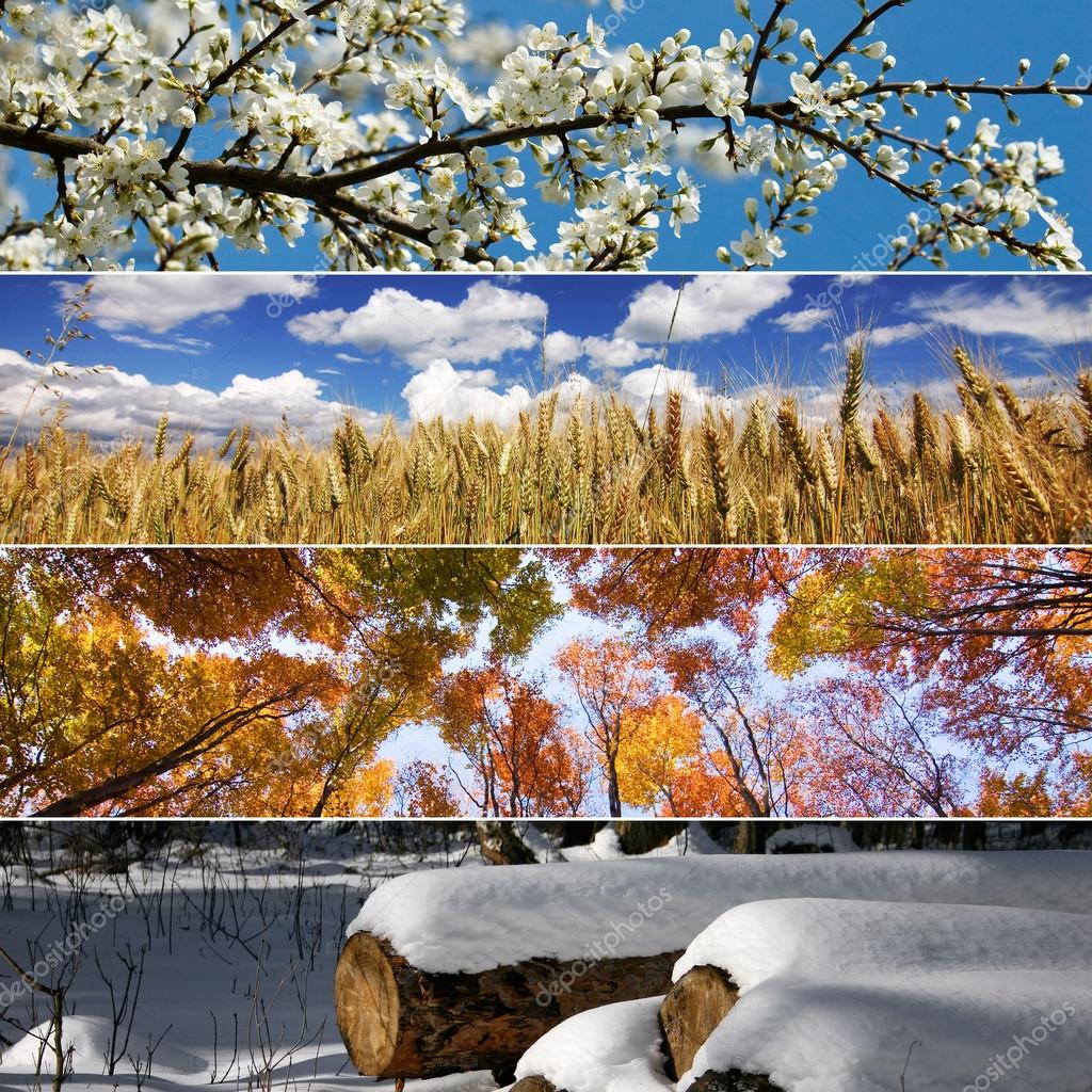 Four season banners — Stock Photo © Machacek #39355965