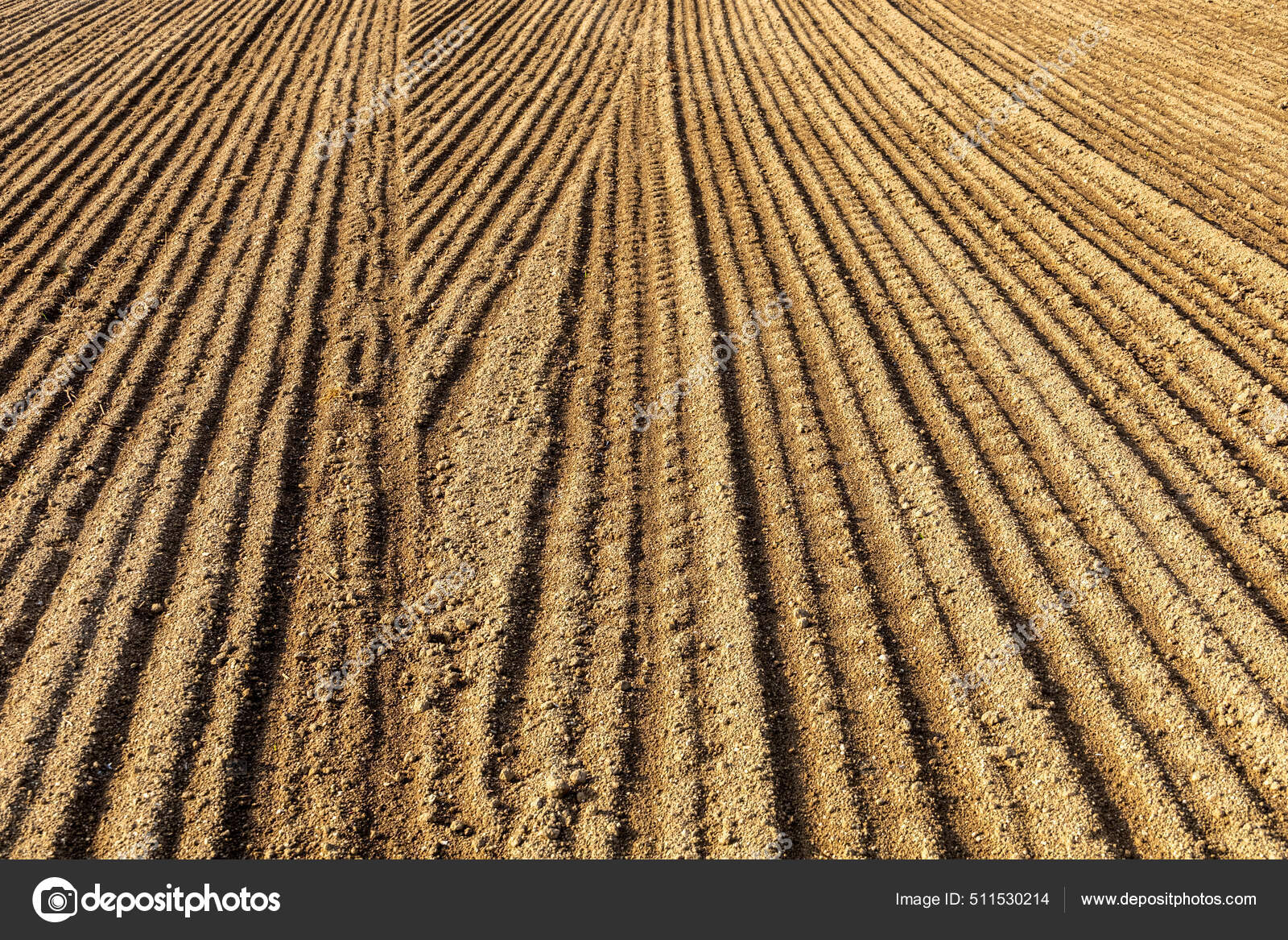 Detail Empty Field Lines Horizontal Agricultural Texture Background ...